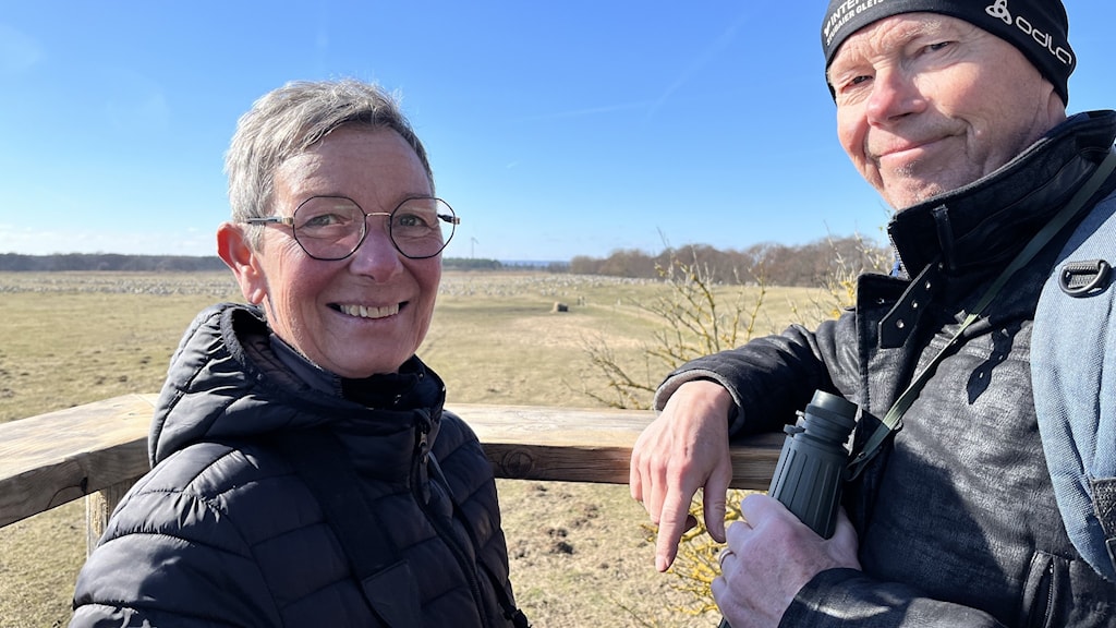 Tusentals tranor lockar publik: ”Vi är ju fågelnördar” - P4 ...