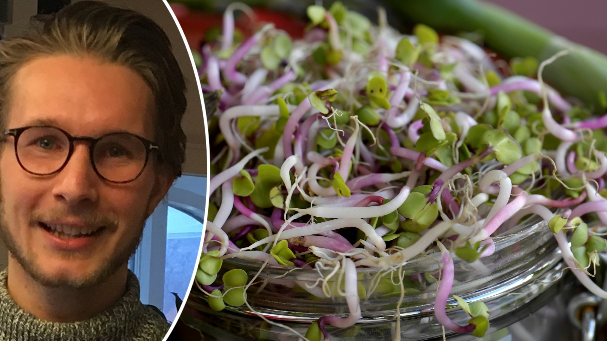 Jonas Bendroth letar fröer för att grodda - P4 Kristianstad | Sveriges ...