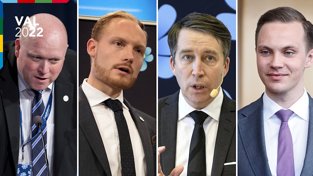 De får SD:s tunga utskottsposter i riksdagen - P4 Kristianstad ...