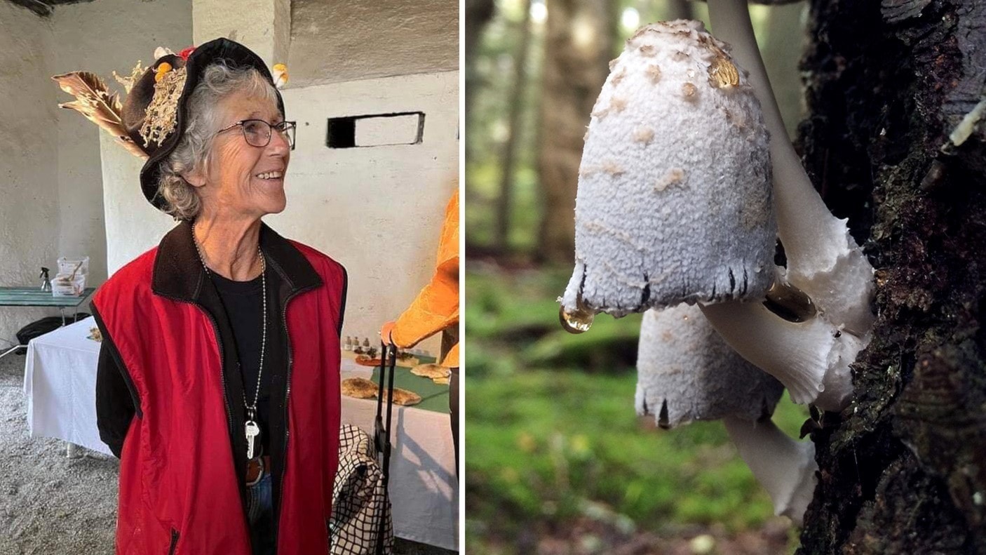 Eva hittade ny svamp med veckad kjol - döper den till ringplisserad ...