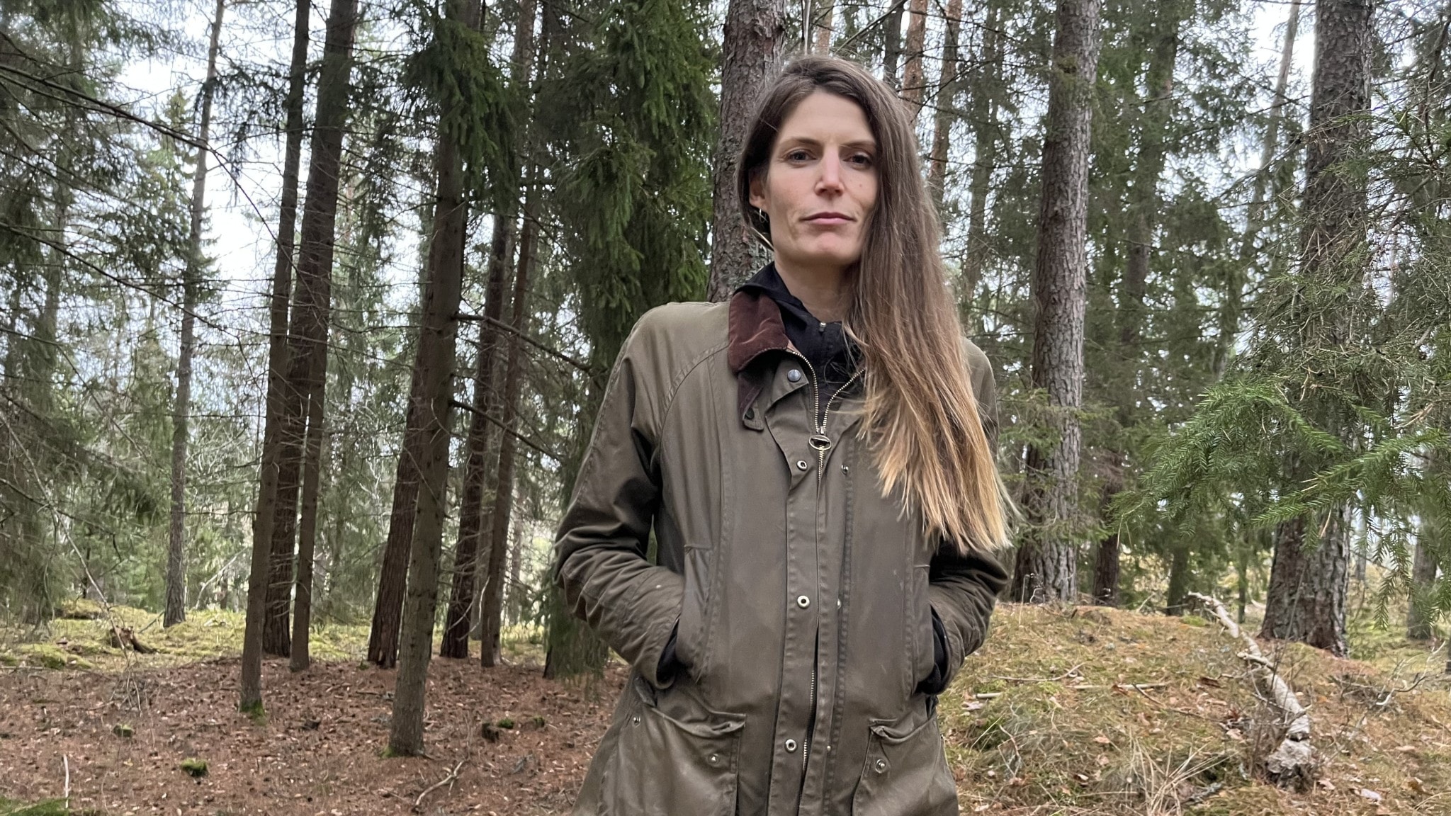 Både kalhygge och urskog är värda en naturskildring - Naturmorgon ...