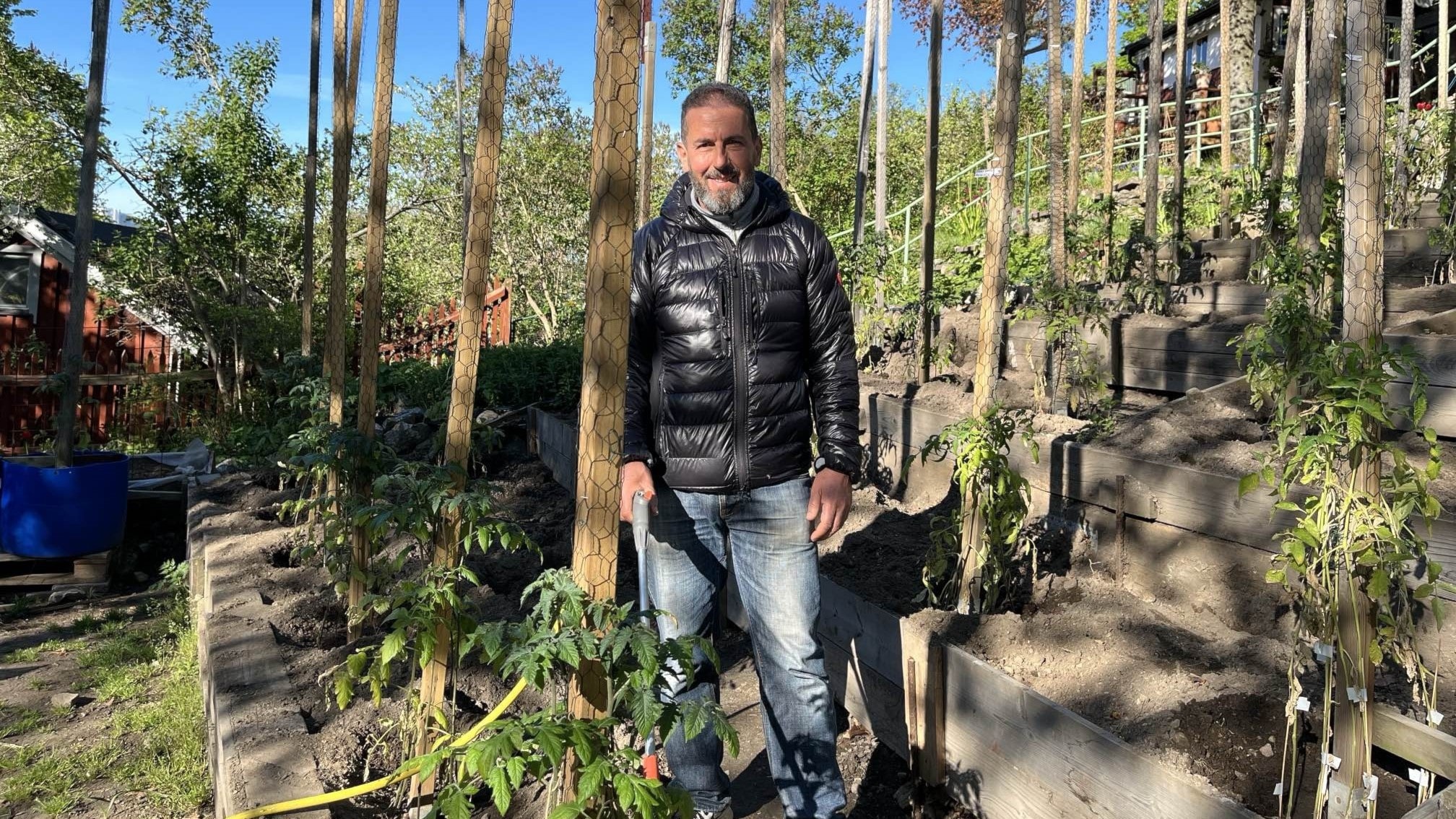 Tomatmannens B sta Tips Som Ger Godaste Sk rden Sveriges Radio tomatmannens-b-sta-tips-som-ger-godaste-sk-rden-sveriges-radio