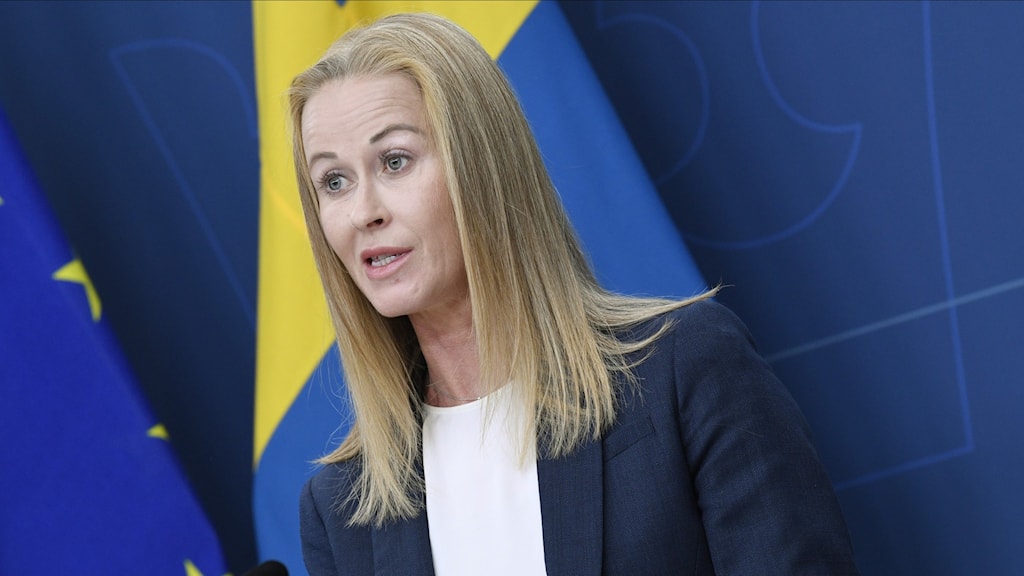 Katja Nyberg (SD) bryter tystnaden: ”Karaktärsmord” - P4 Stockholm ...
