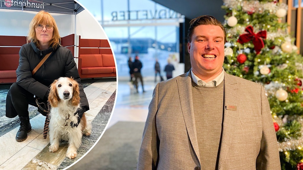Här får raketrädda hundar en fristad: "Åker hit istället för julresa ...
