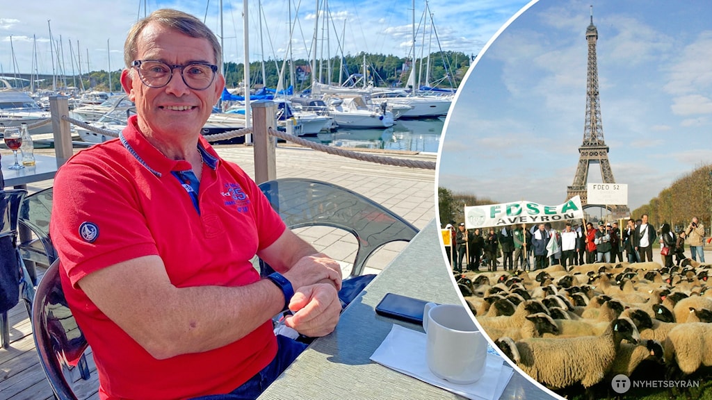 Franske Hervé om svenska valrörelsen: "Kartan är jättestörd" | Sveriges ...