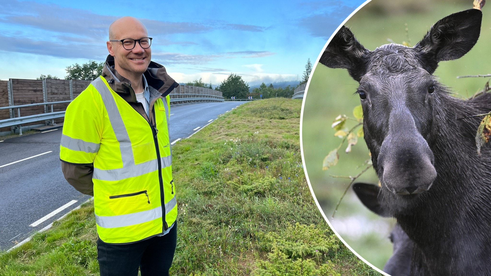 Broar för djur byggs över E20: ”Vi har en miljöskuld” - P4 Göteborg ...
