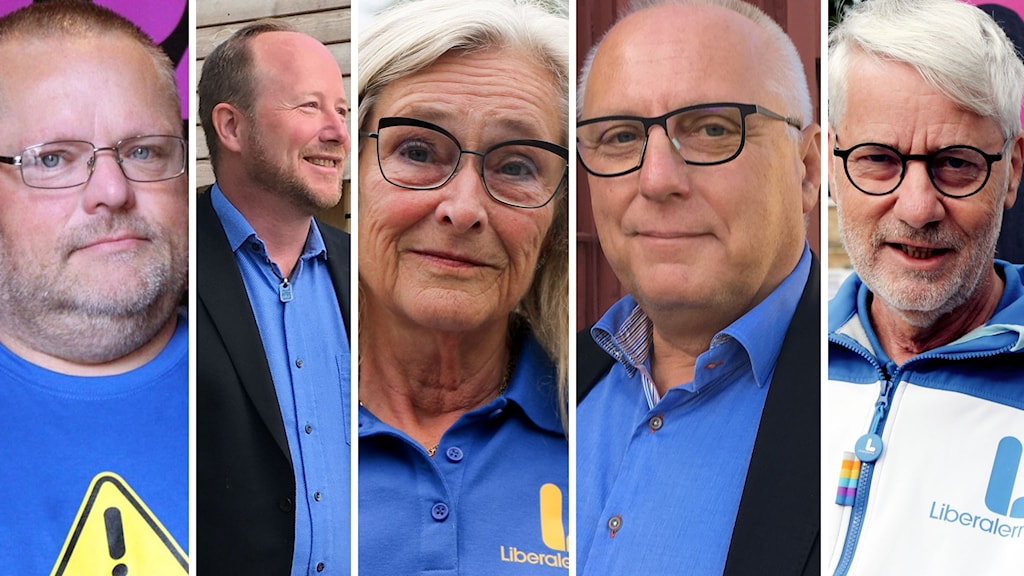 Ledande liberaler är beredda att släppa SD över tröskeln - P4 Blekinge ...