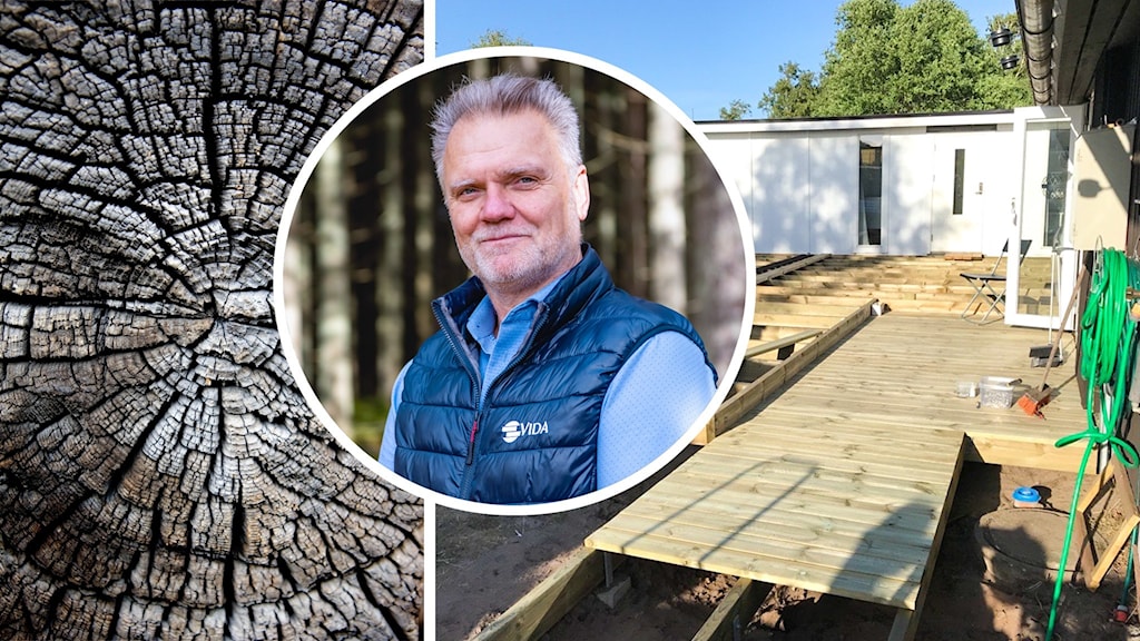 Priset på timmer når all time high – men altanbygget blir inte dyrare ...