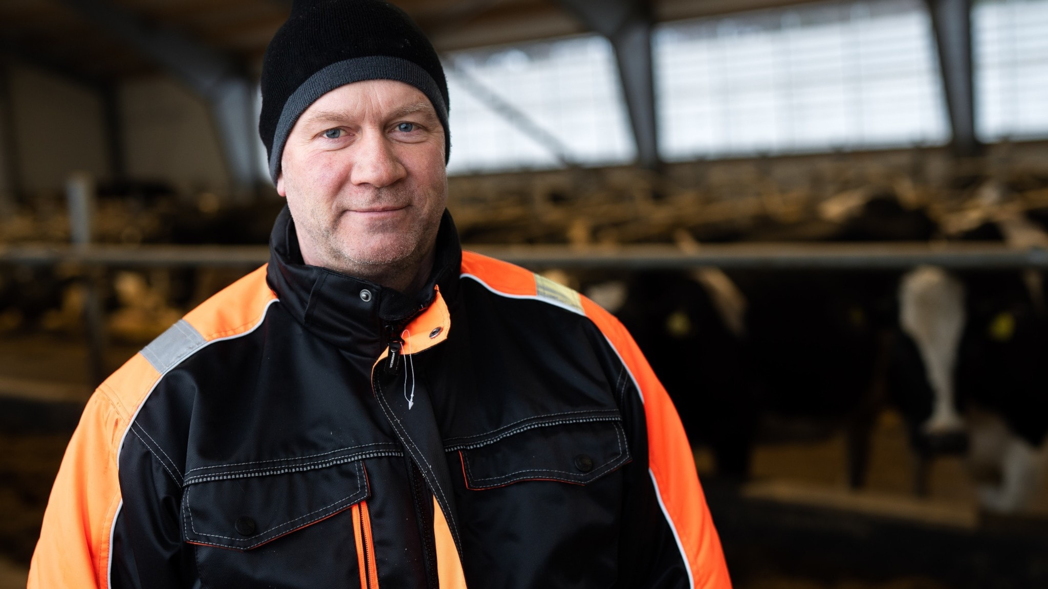 Sänker ersättningen till mjölkbönderna: "Absolut nödvändigt" - P4 ...