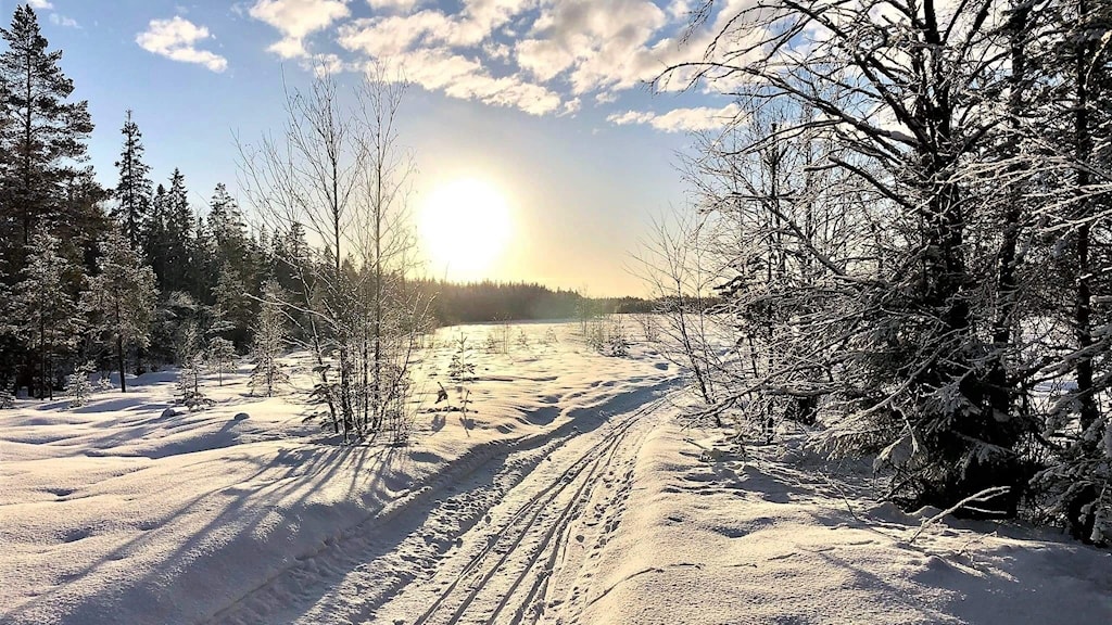 105 minuter mer sol varje dag – en månad efter vintersolståndet - P4 ...
