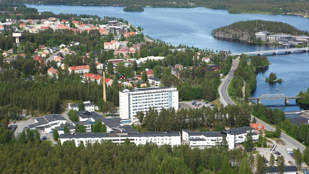 Lyckseledagen – då ställs politikerna till svars av företagarna - P4 ...