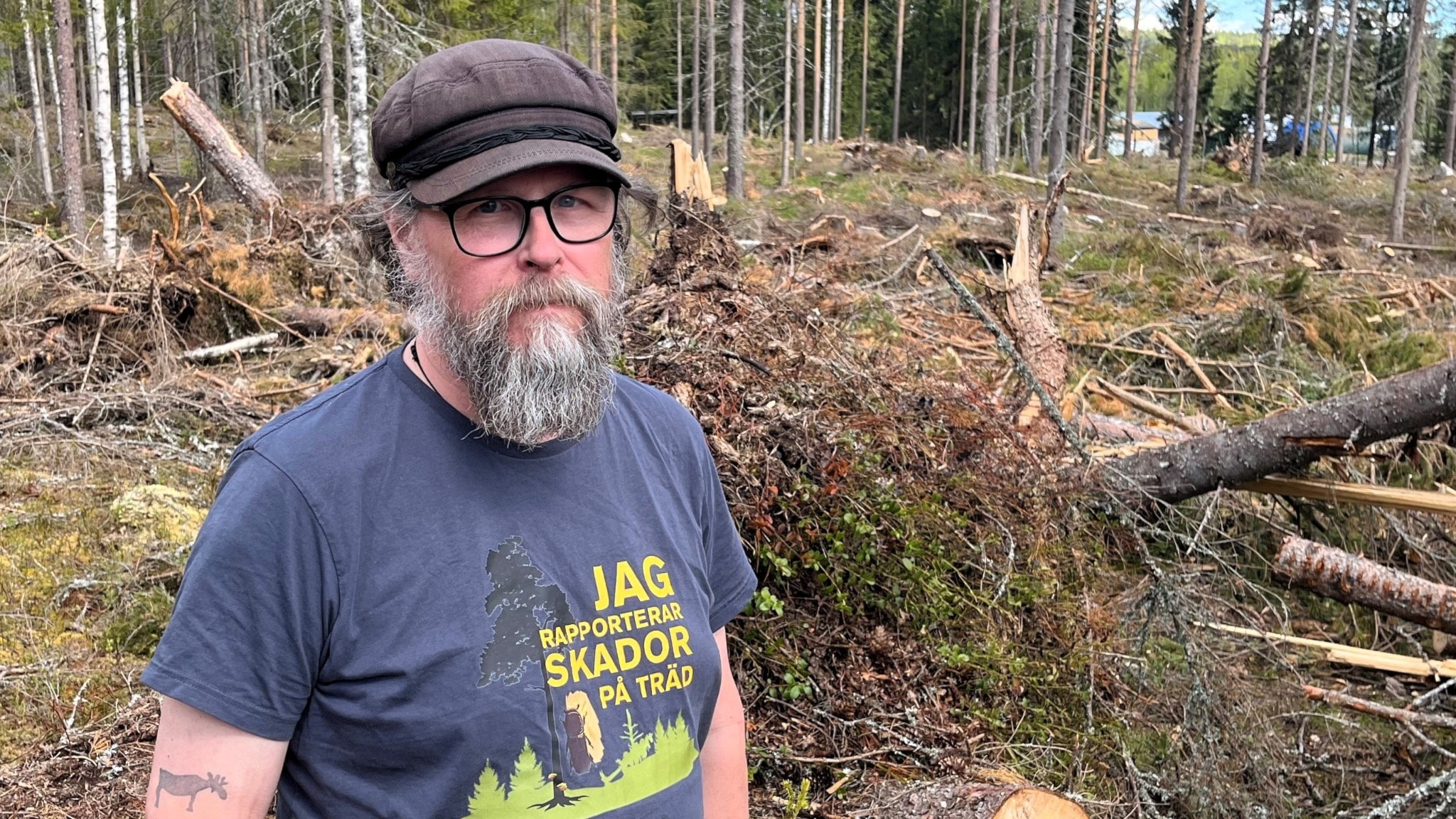 Stormen Johannes kan ge fler angrepp av granbarkborre | Sveriges Radio
