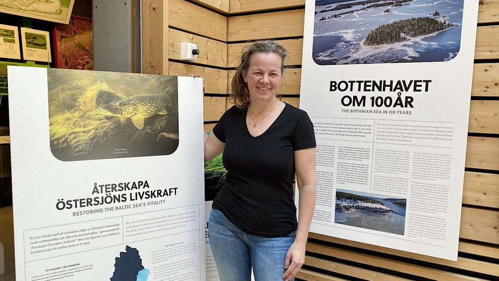 Naturum vid Skuleberget öppnar i helgen –Årets tema: Östersjön - P4 ...