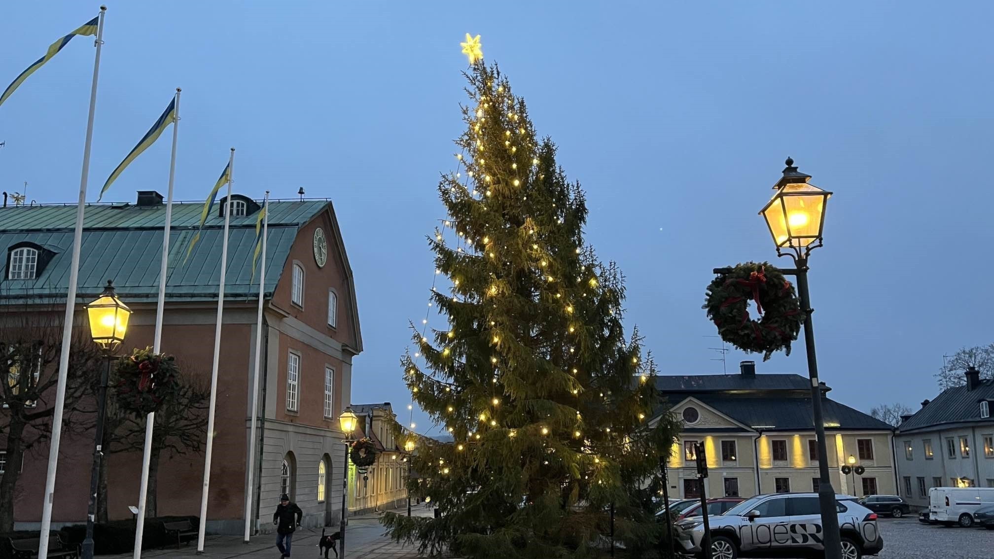 Årets julgran är det fulaste Anders sett: ”Som en banan” | Sveriges Radio