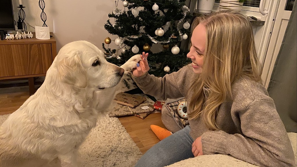 Sally är årets roligaste hund – matte skrattar hela tiden - P4 Väst ...