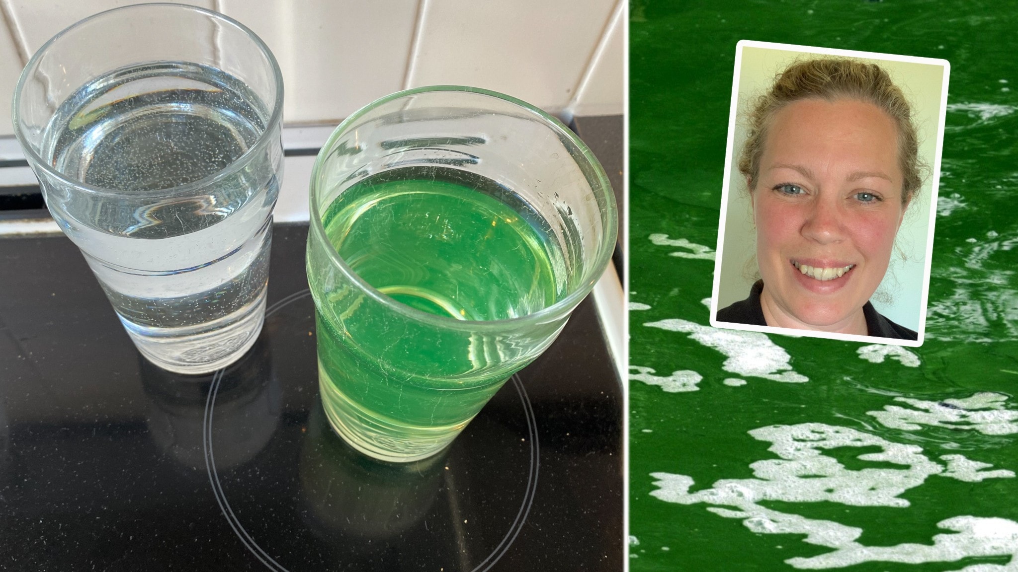 Därför kommer det grönt vatten ur kranen – tipset: Ring rörläggaren ...
