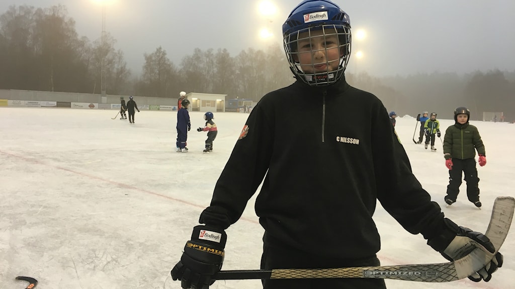Fortsatt kamp för Sjöaremossen - P4 Halland | Sveriges Radio