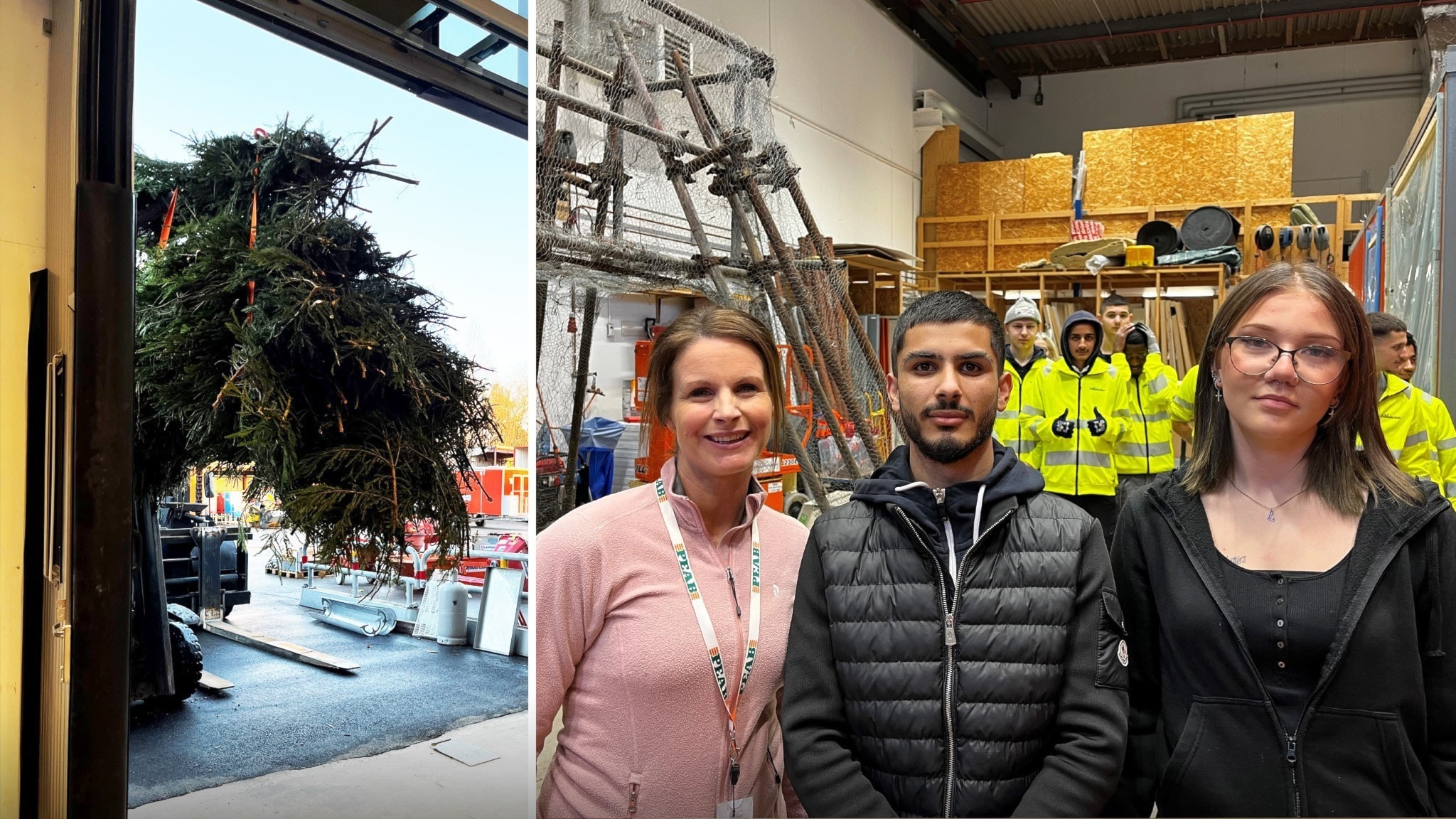 Julbocken är sliten – här är eleverna som ska rädda Julius | Sveriges Radio