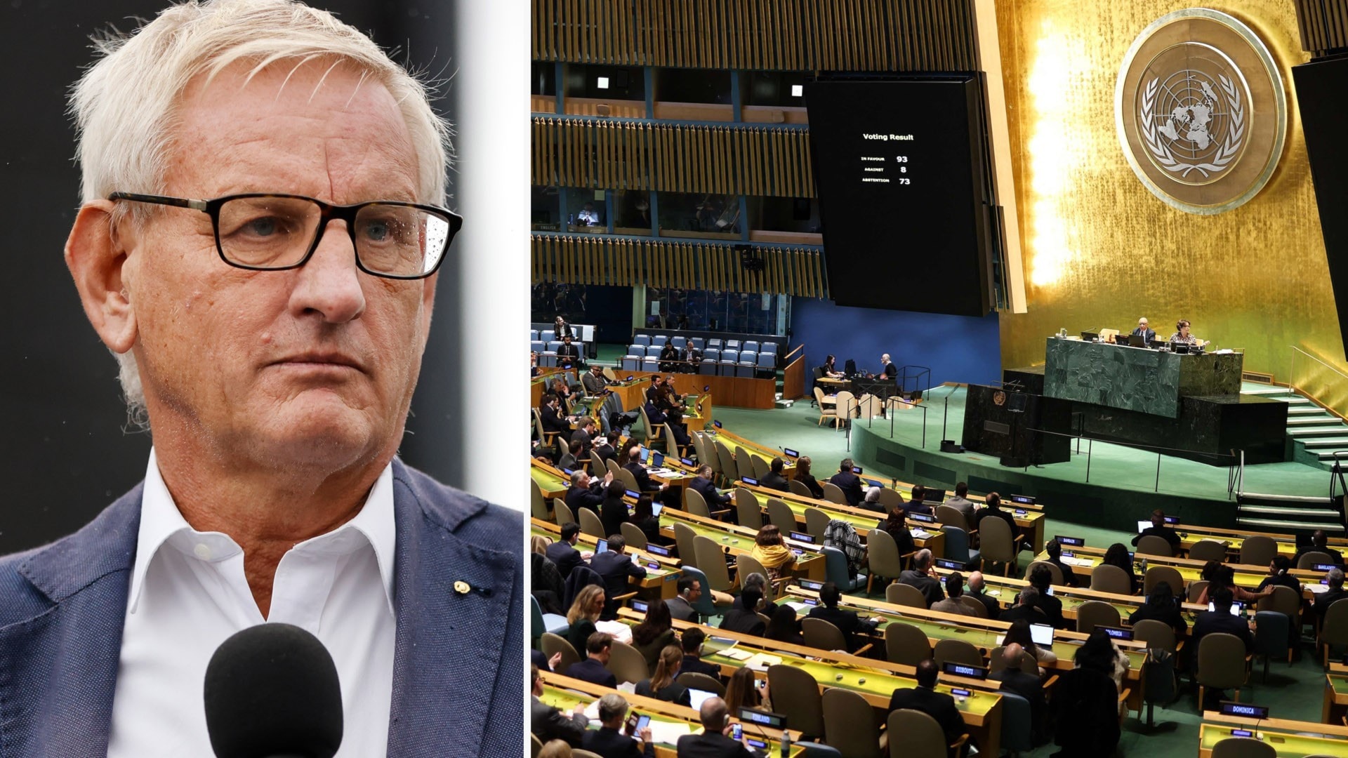 Carl Bildt: ”Inte bara anmärkningsvärt – det är skamligt” | Sveriges Radio