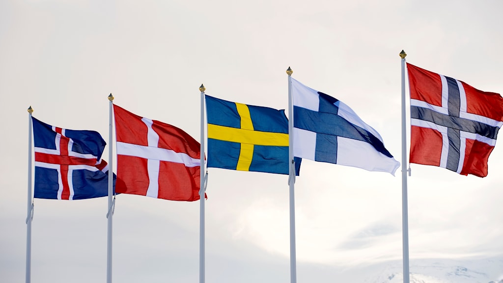 Suomen kielen asema paranee hieman Pohjoismaiden neuvostossa - Sveriges ...