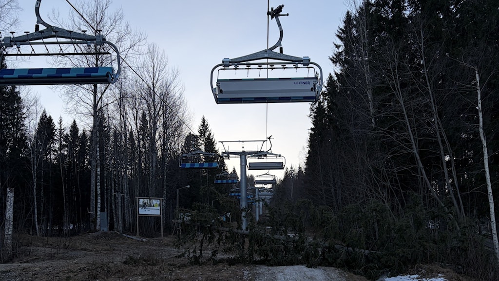 Storm-damaged ski resort opens again clearing hundreds of fallen trees ...