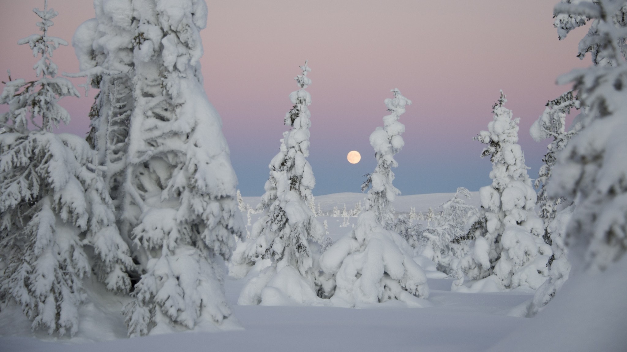 Annandagsmorgon – Vår känsla för snö 26 december 2022 - P1 ...