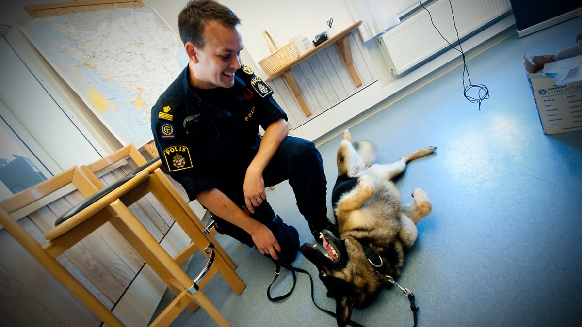 Tv-polis med hund i studion | Sveriges Radio