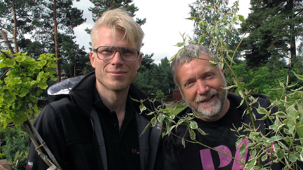 Bland grönskan i Ölme - Förmiddag i P4 Värmland | Sveriges Radio