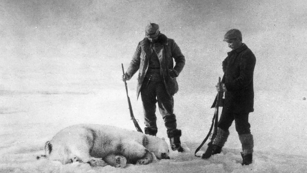 Polarfararen Fraenkel sannolikt sårad i isbjörnsattack ...