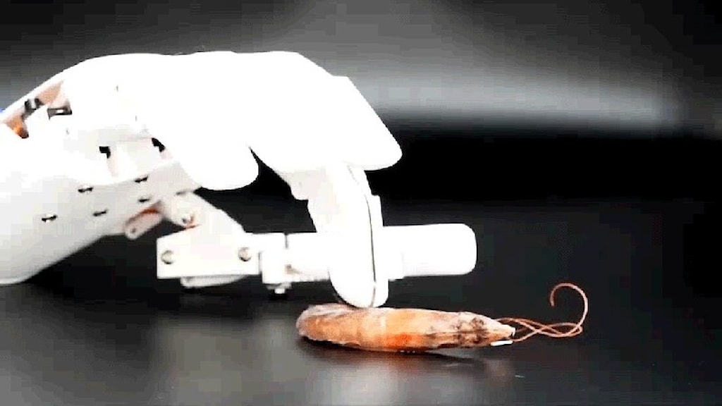 Robothand kan upptäcka kvicksilver genom att peta i maten ...