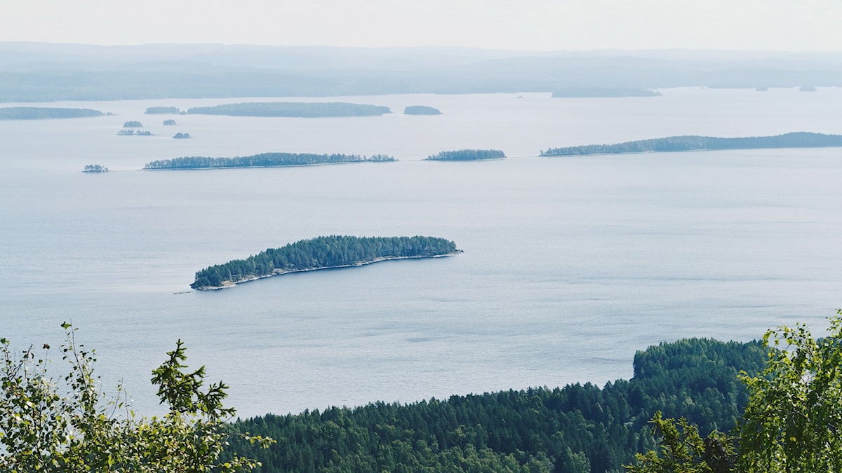 Sibelius berättar Karelens historia - Klassisk morgon | Sveriges Radio