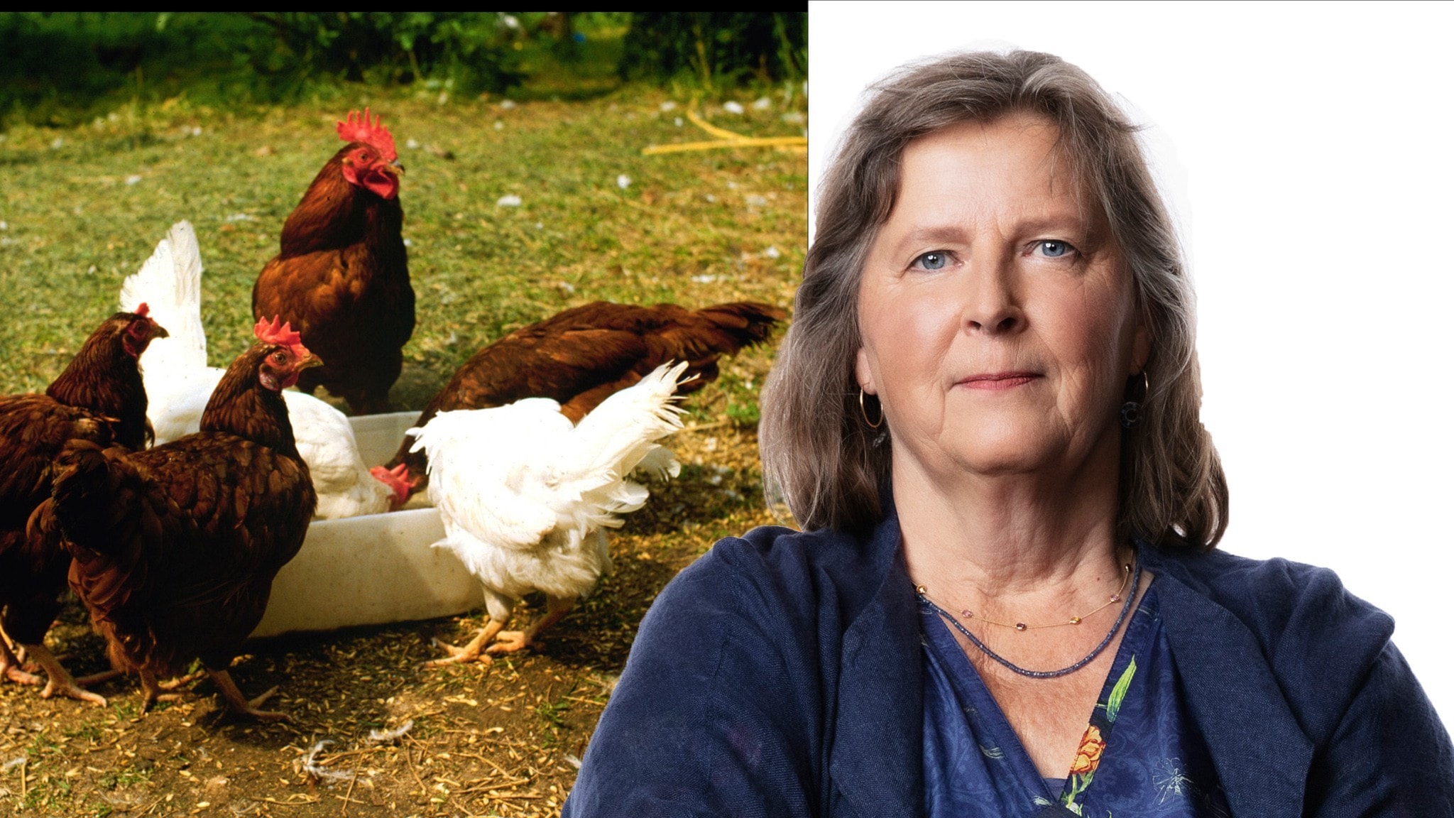 Påskhopp från en femåring: Maria Persson Löfgren ...