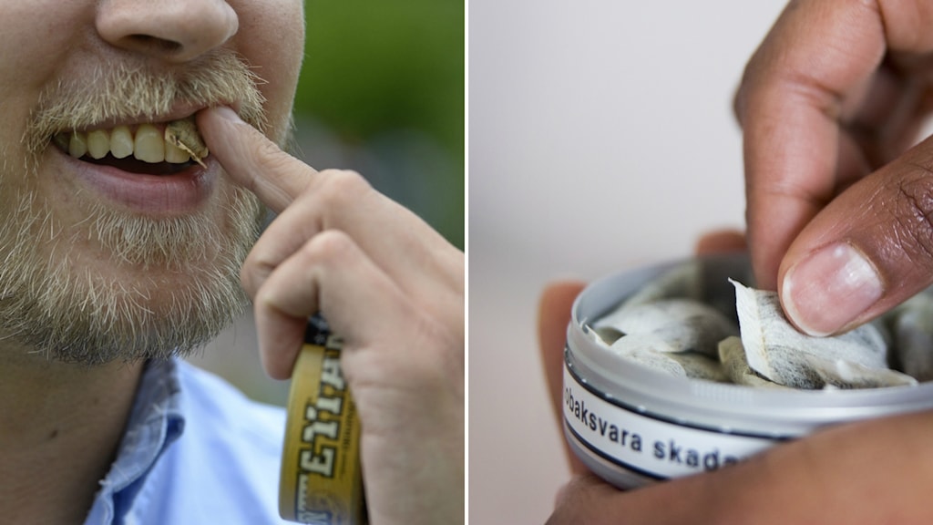 Inga andra EU-länder får sälja snus - Radio Sweden på lätt svenska ...
