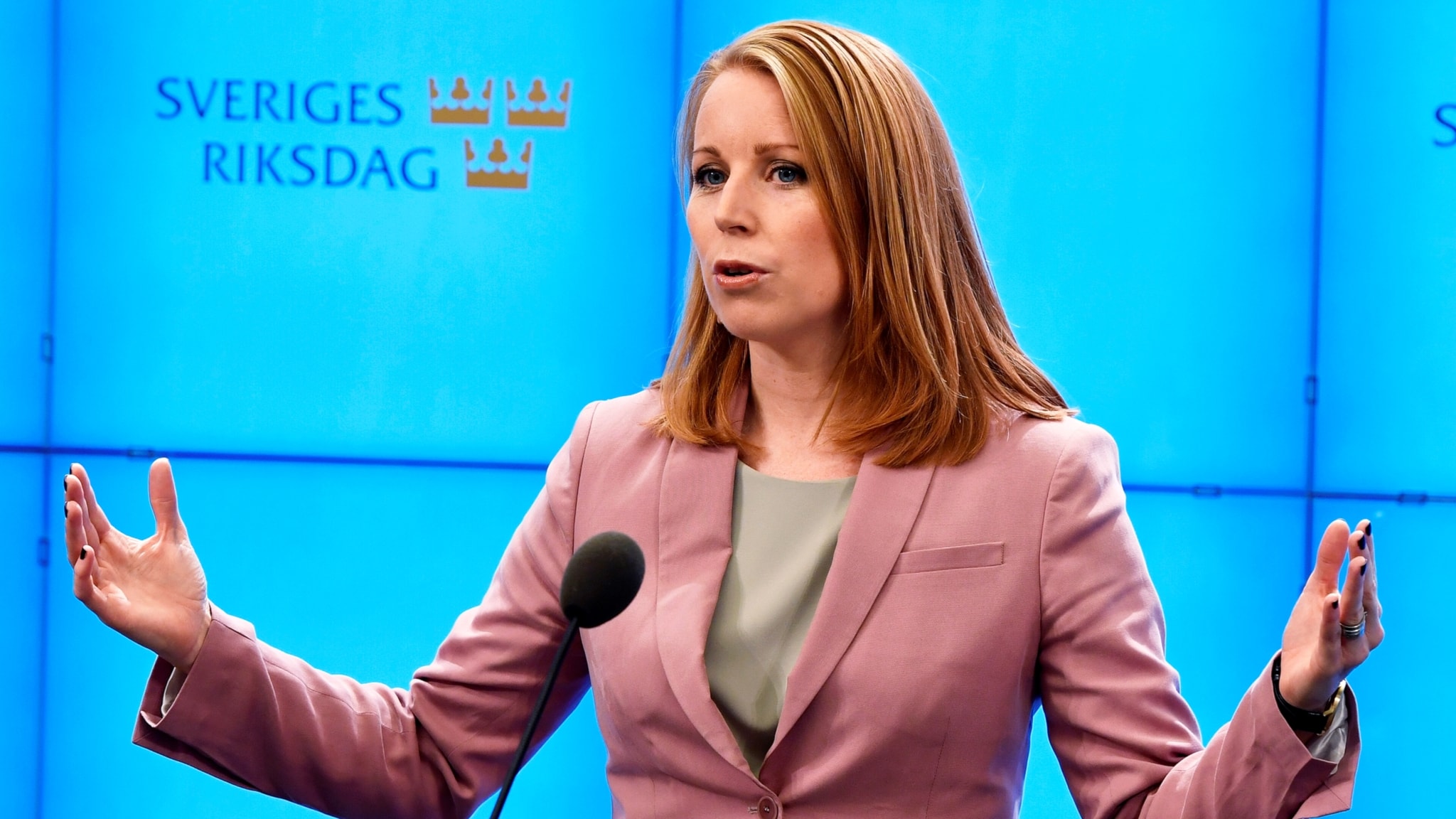 Centerpartiets partiledare ska försöka hitta en ny regering - Radio ...