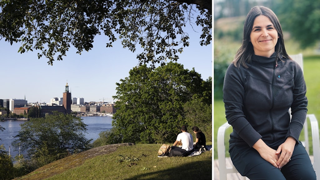 Forskare: Män som pratar stockholmska upplevs minst kompetenta ...