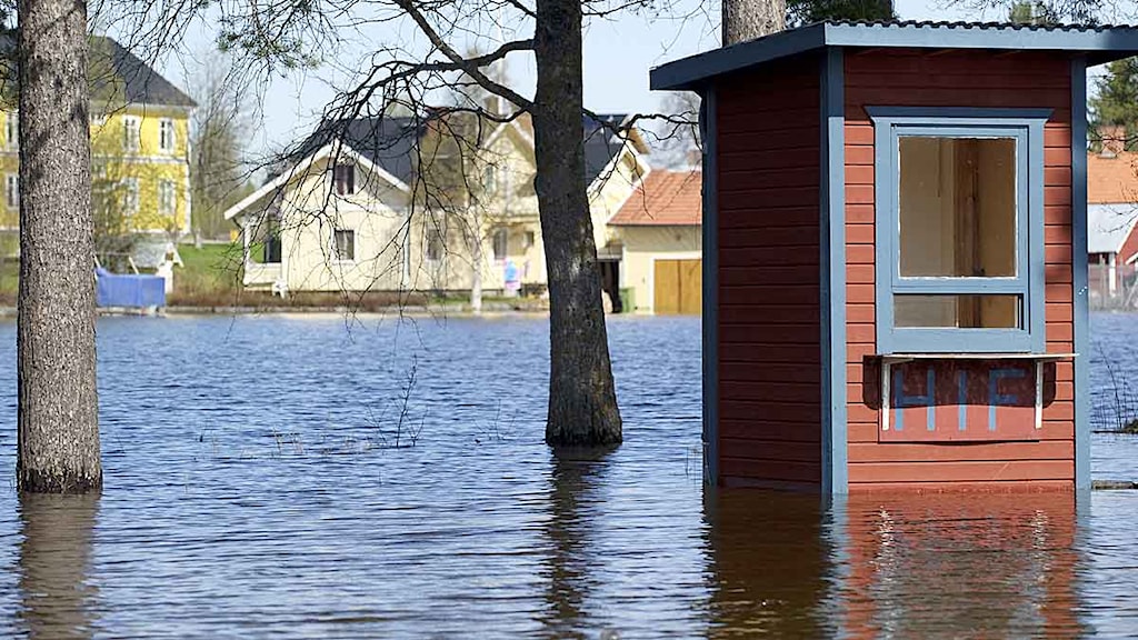 Spring Flood Still Causes Trouble - Radio Sweden | Sveriges Radio