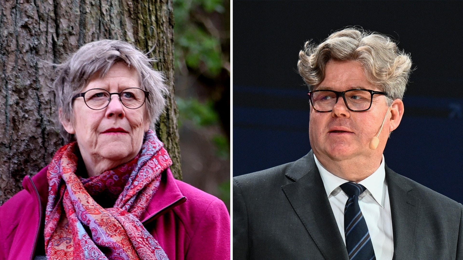 Strömmer om Agnes Wold: Debatten bygger på missförstånd | Sveriges Radio