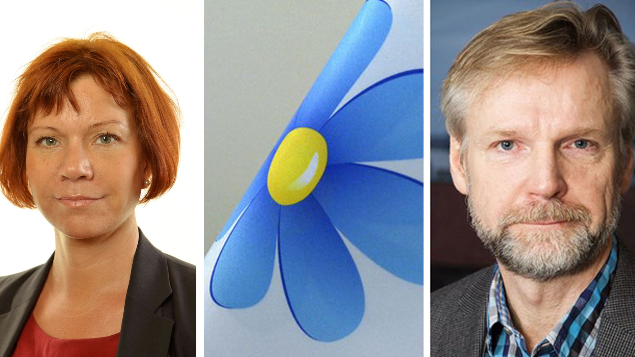 Tomas Ramberg: SD:s gröna kryptonit - Nyheter (Ekot) | Sveriges Radio