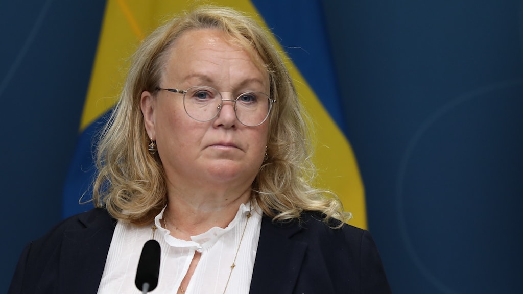 Svenska cybersäkerhetschefen: ”Det är ett stort antal sårbarheter ...