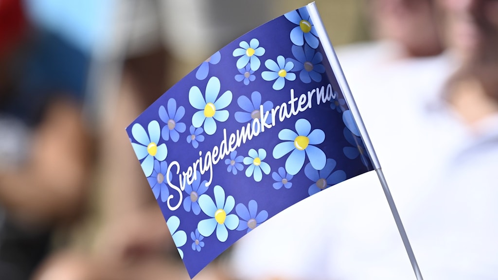 SD-kanalen för dyr för partiet – planerar att sälja Riks - Ekot ...