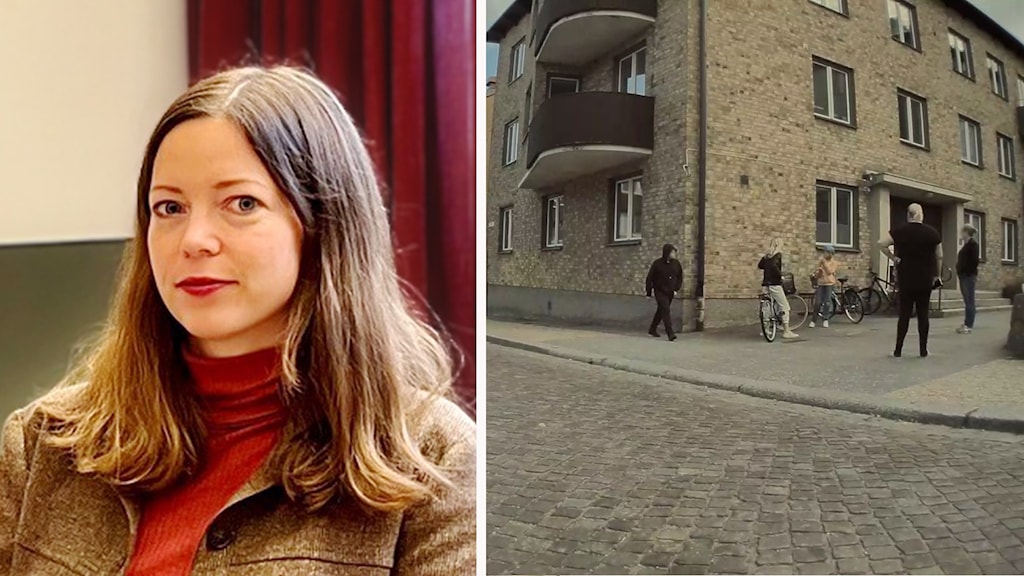 Forskare: Bilkamerorna hot mot vårt privatlivsskydd - Ekot | Sveriges Radio