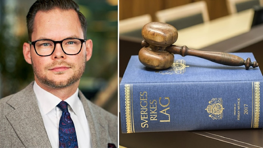 Två personer misstänks för brott mot rikets säkerhet – lektorn reder ut ...
