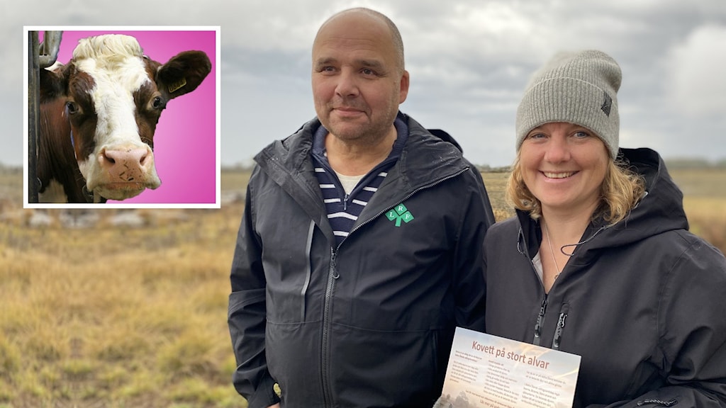 De sprider ko-vett på Alvaret - P4 Kalmar | Sveriges Radio