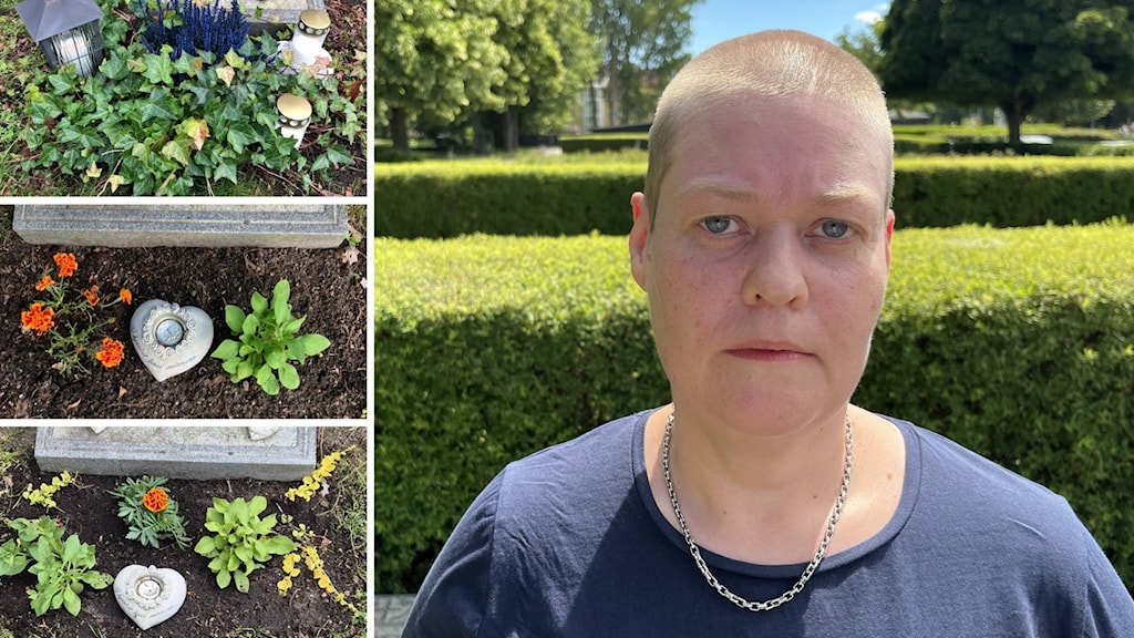 Angelicas ilska efter mysteriet med pappas grav: ”Vad fan pågår?” - P4 ...
