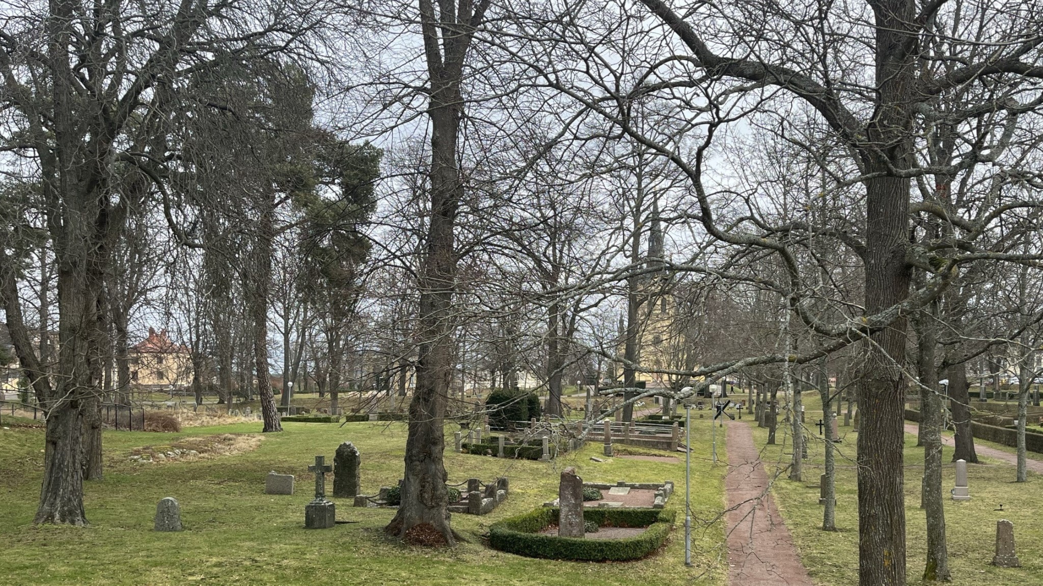 30-tal döda träd ska ner i stadsparken – kritiseras av nätverk ...