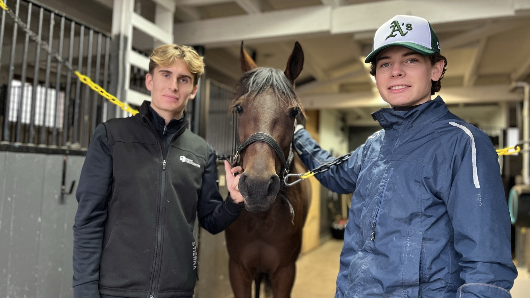 Noa, 17, hoppar av skolan – startar ”Formel Häst-stall” - P4 Kalmar ...