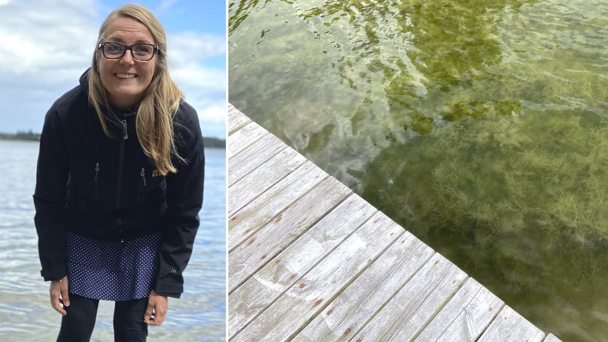 Algblomningen igång: "Bada inte i grumliga vatten" - P4 Sörmland ...