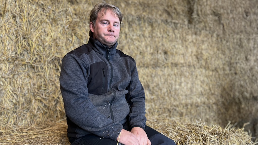 Sent EU-stöd oroar eko-bönder: ”Det är inte rimligt” - P4 Gotland ...