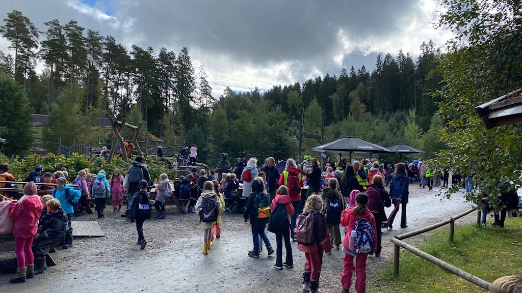 Skoleleven Adrians uppmaning: "Släng skräpet i soptunnan" | Sveriges Radio