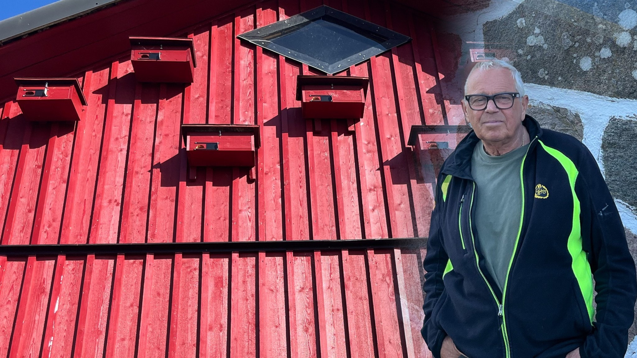 Jan-Åke har pippi på fåglar – satt upp över 200 holkar - P4 Sjuhärad ...